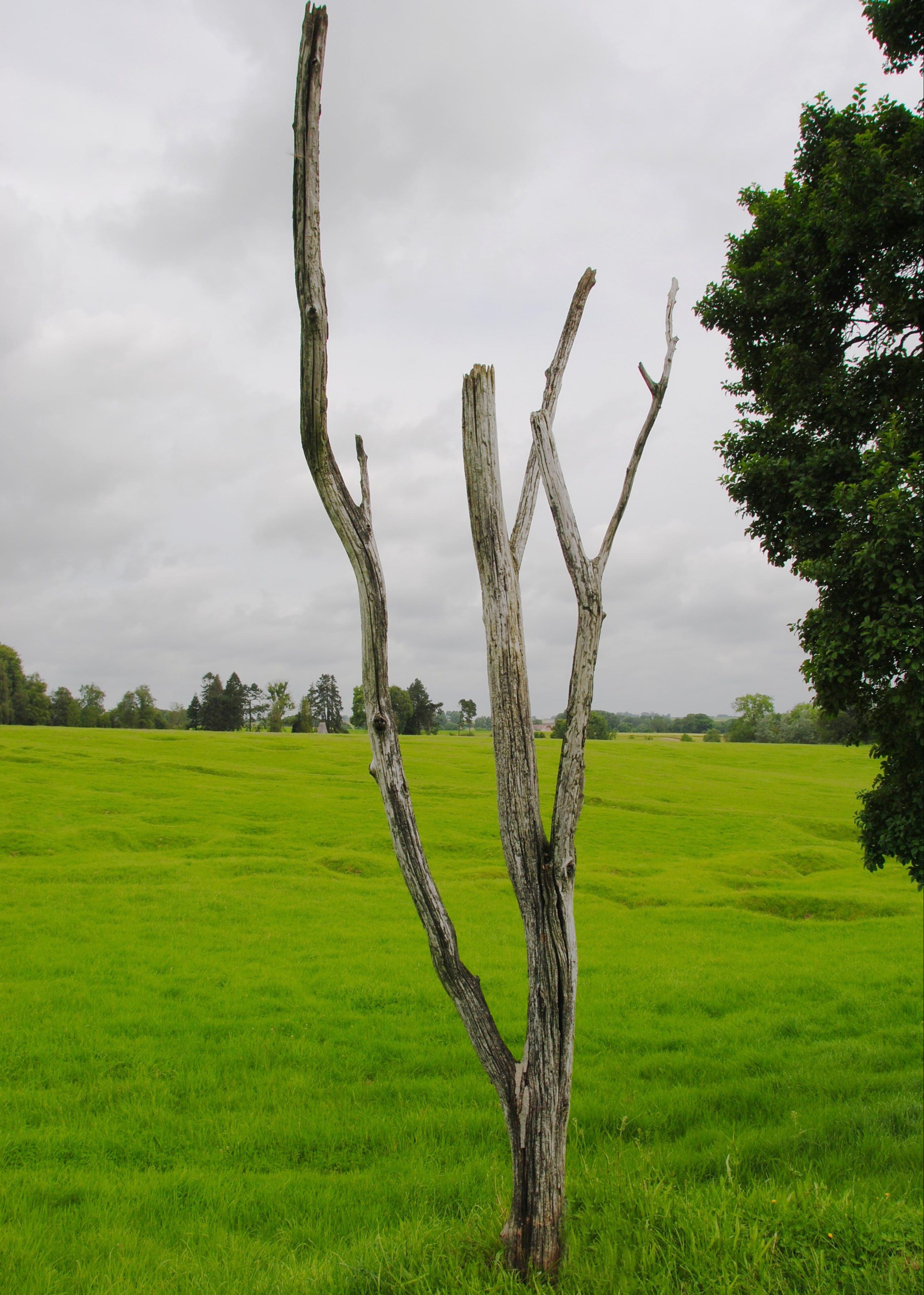 'It has become real'