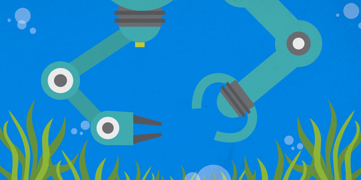 From robots to algae