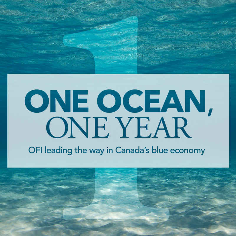 One ocean, one year