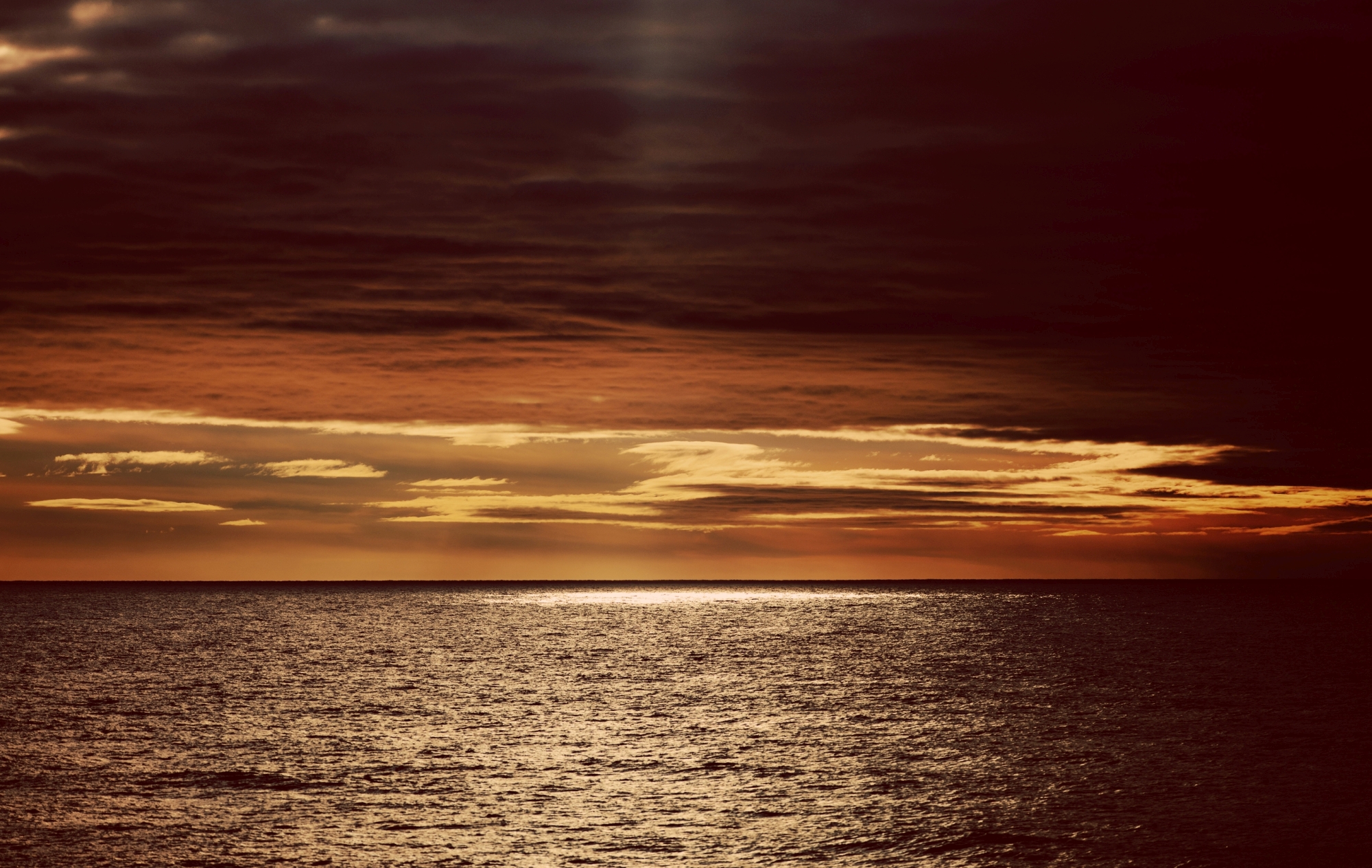 Celebrating our oceans