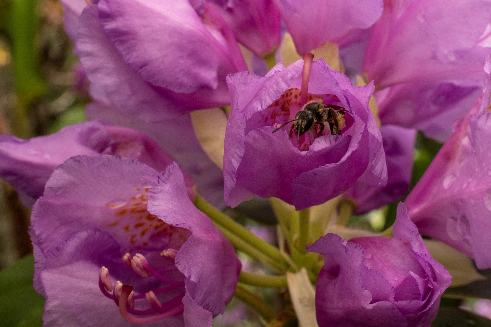Bug Walk at the Garden